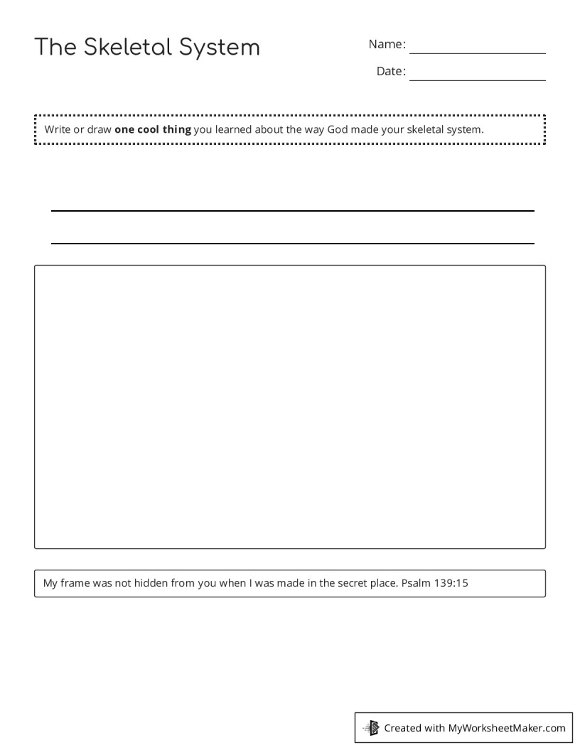 The Skeletal System - My Worksheet Maker: Create Your Own Worksheets