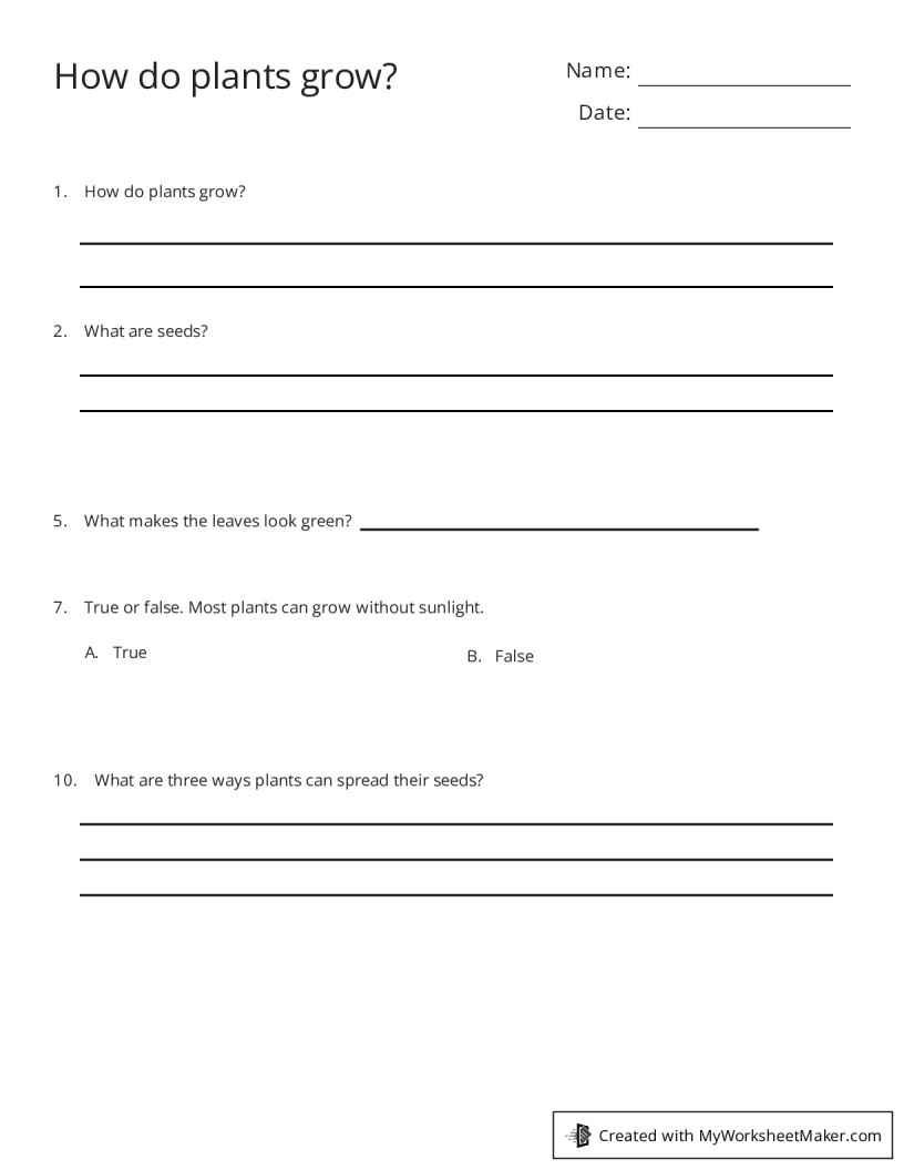 My Worksheet Maker The Best Online Worksheet Creator