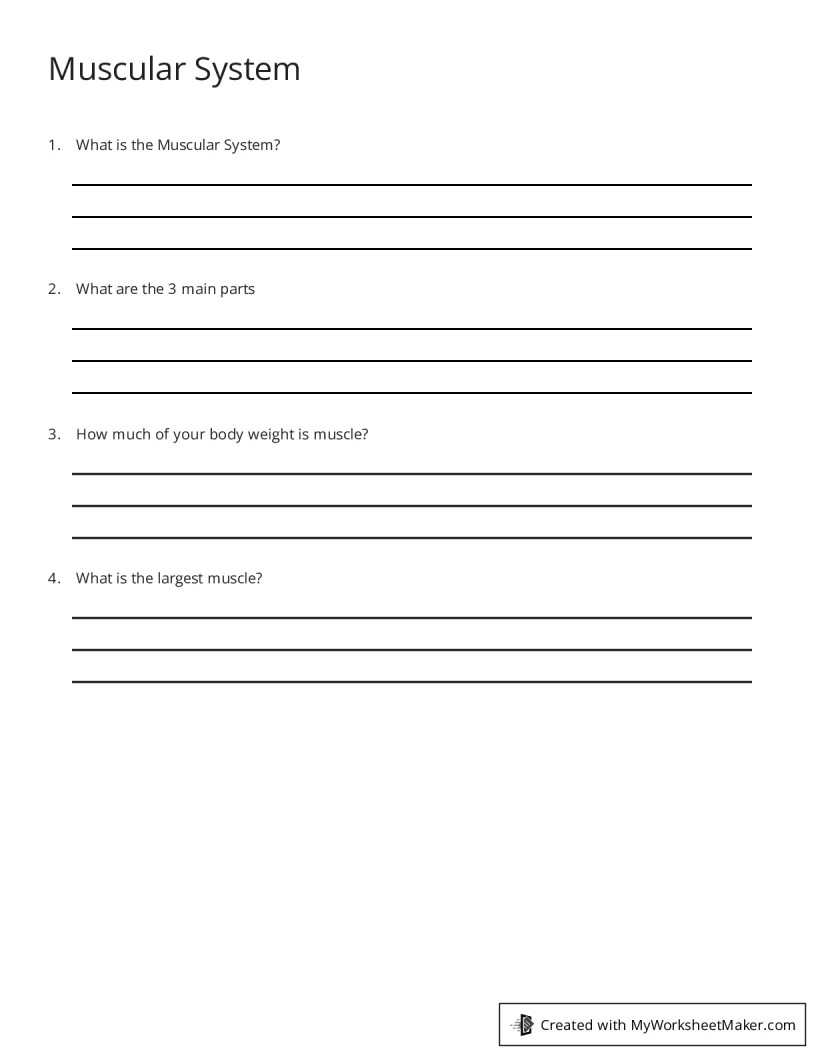 Muscular System Free Printable Worksheets