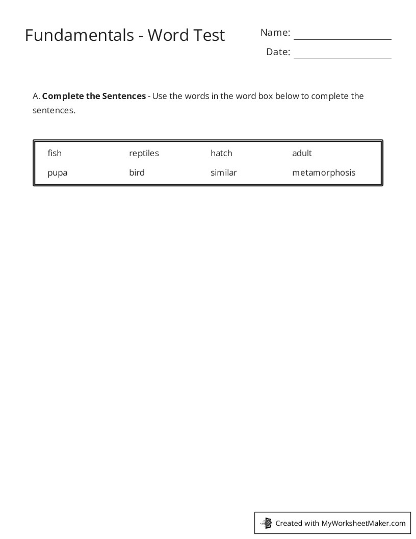 Fundamentals - Word Test - My Worksheet Maker: Create Your Own Worksheets