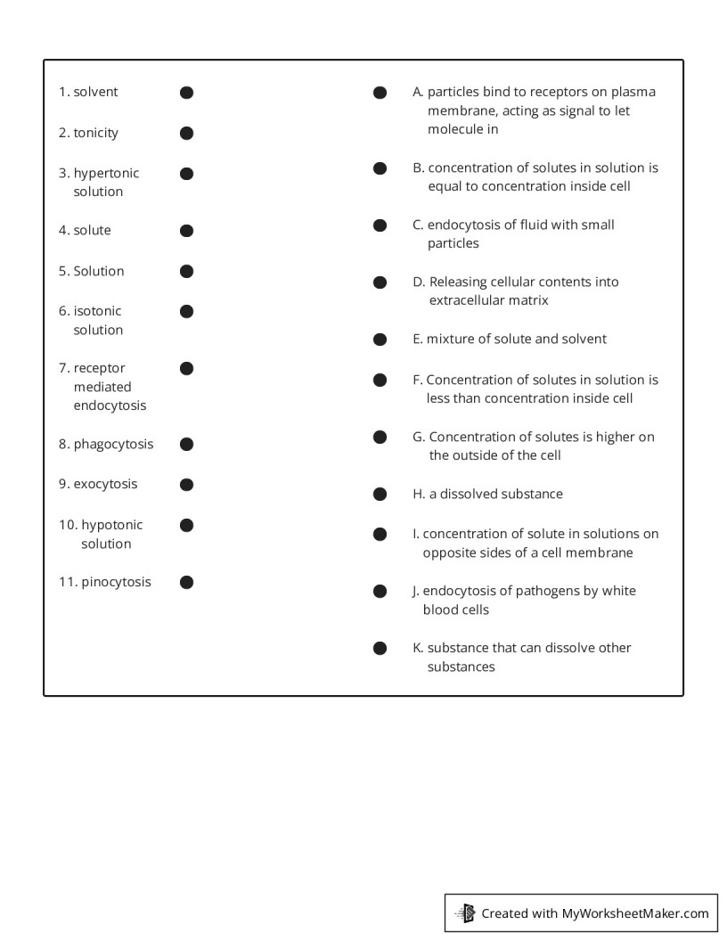 My Worksheet Title - My Worksheet Maker: Create Your Own Worksheets
