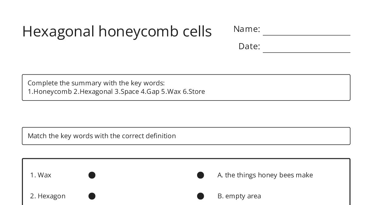 Hexagonal honeycomb cells - My Worksheet Maker: Create Your Own Worksheets