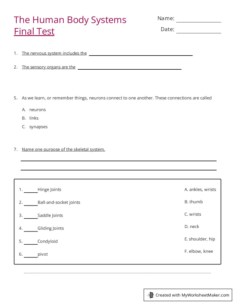 The Human Body Systems Final Test - My Worksheet Maker: Create Your Own ...
