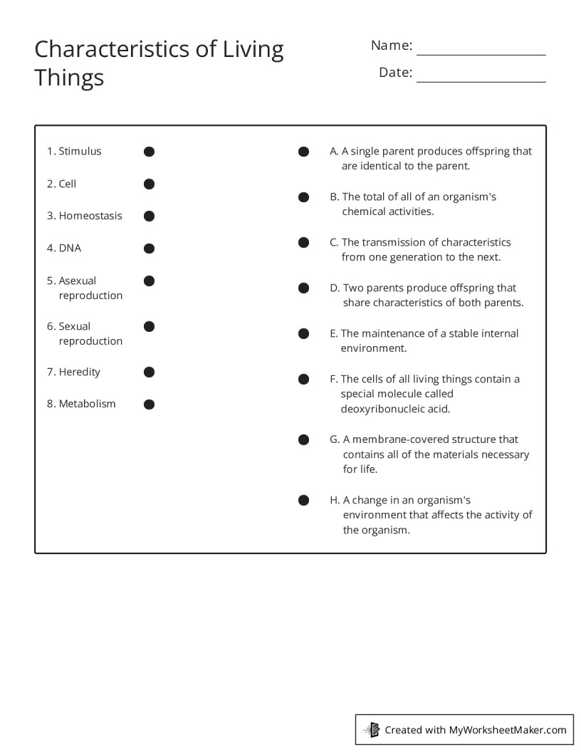 Characteristics of Living Things - My Worksheet Maker: Create Your Own ...