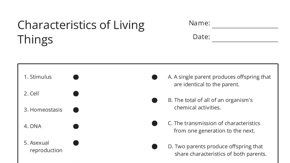 Characteristics of Living Things - My Worksheet Maker: Create Your Own ...