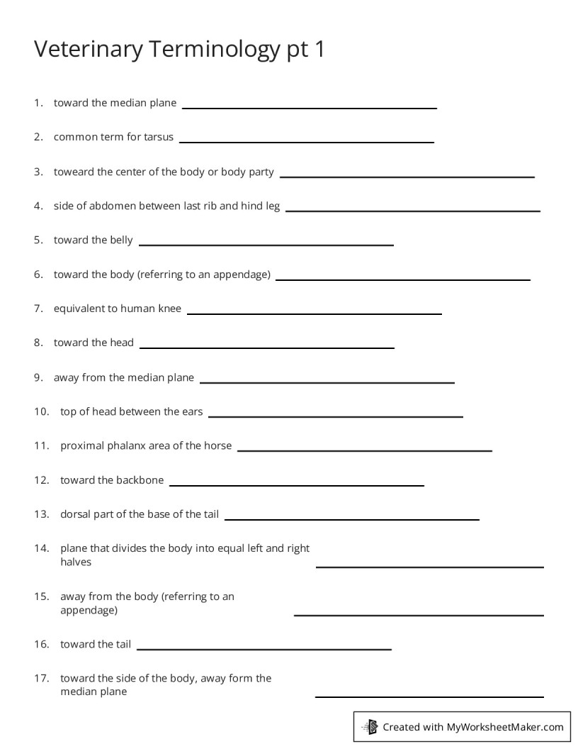 My Worksheet Maker: The Best Online Worksheet Creator