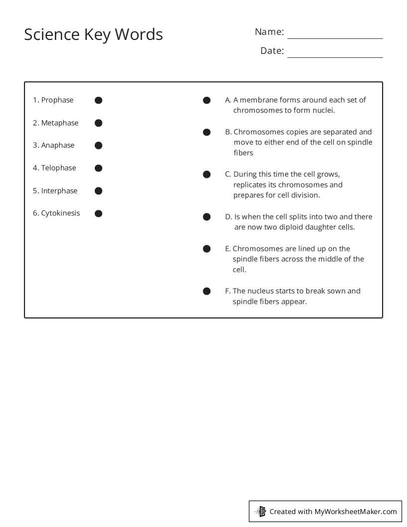 Science Key Words - My Worksheet Maker: Create Your Own Worksheets