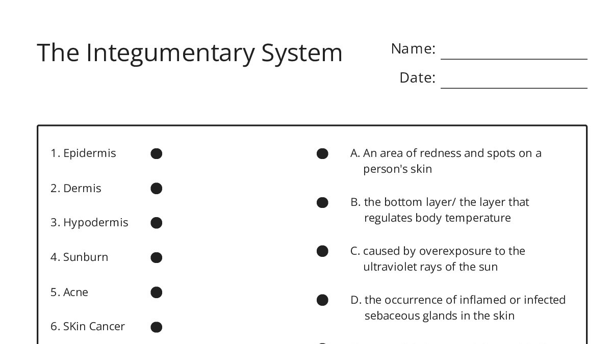 The Integumentary System - My Worksheet Maker: Create Your Own Worksheets