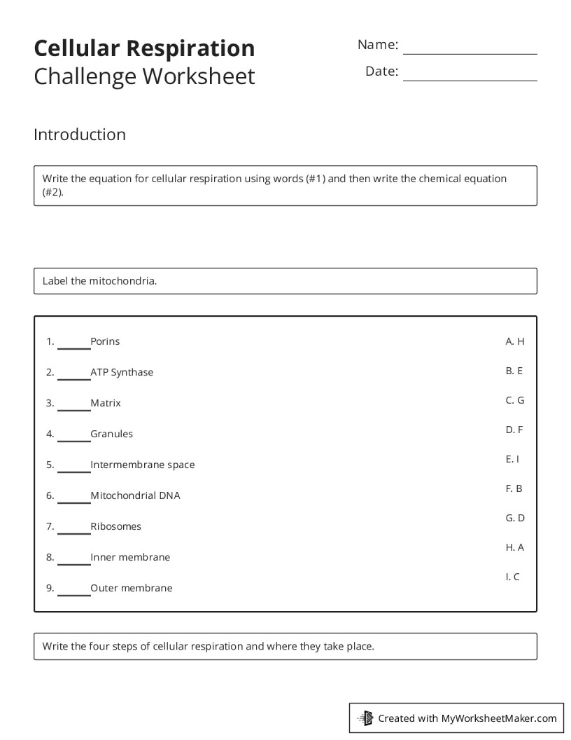 Cellular Respiration Challenge Worksheet - My Worksheet Maker: Create ...