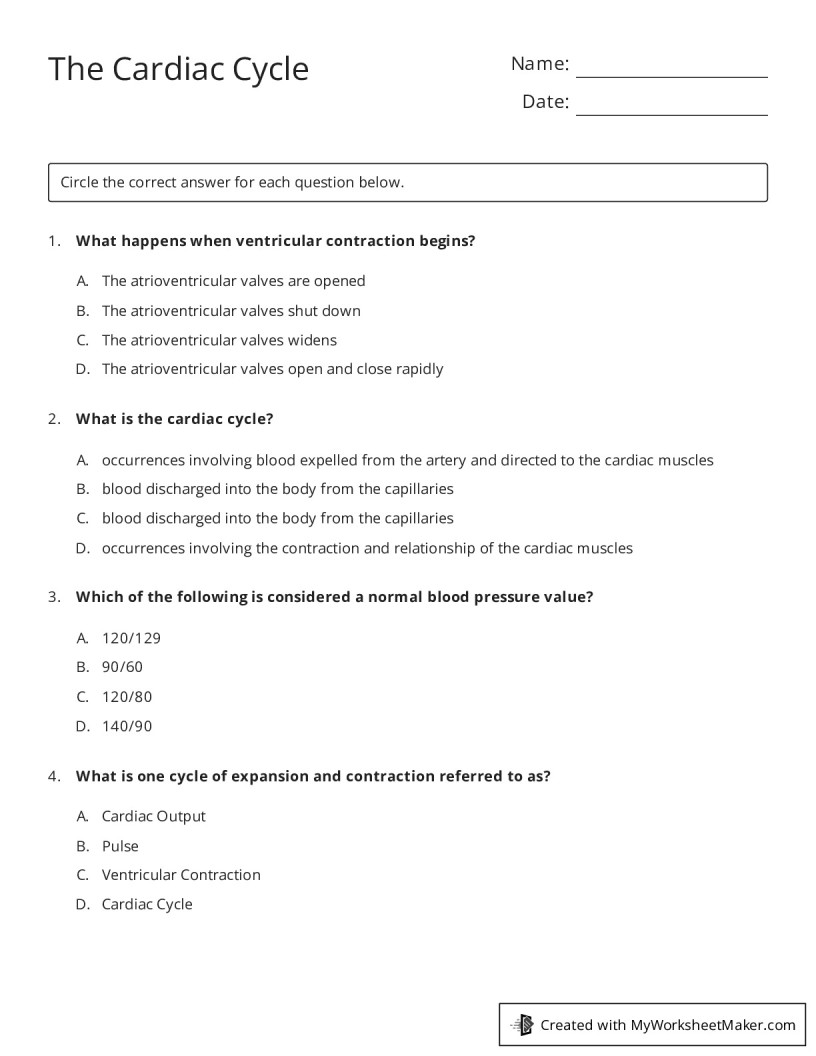 The Cardiac Cycle My Worksheet Maker Create Your Own Worksheets