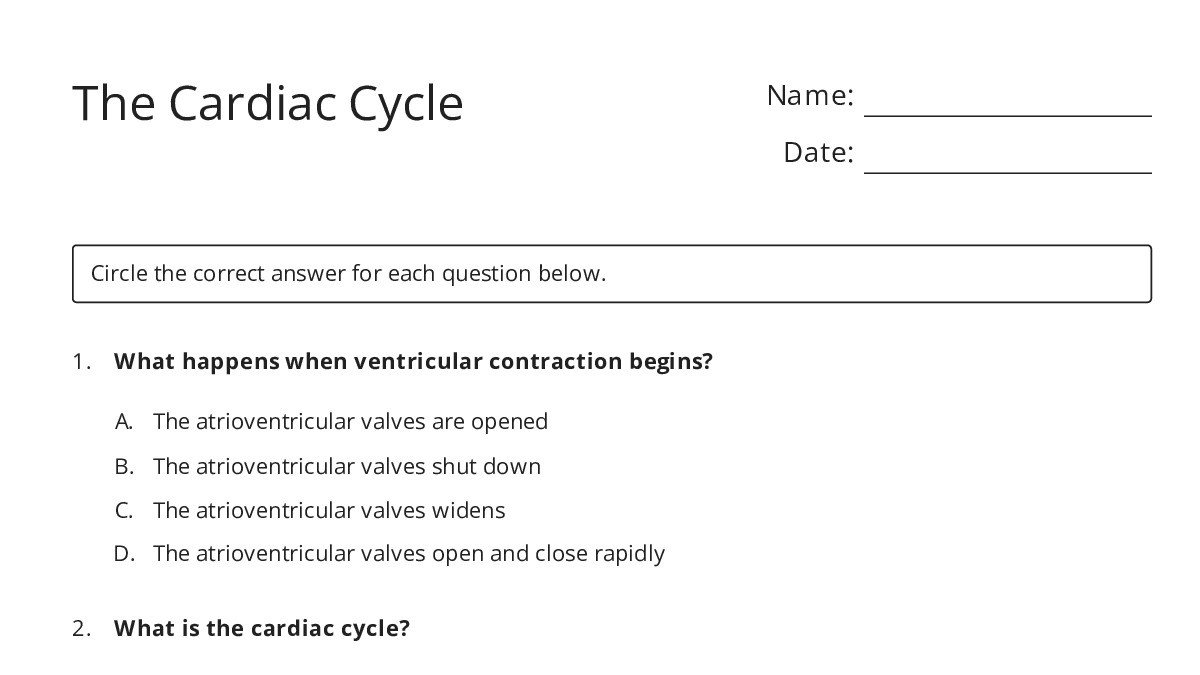 The Cardiac Cycle - My Worksheet Maker: Create Your Own Worksheets