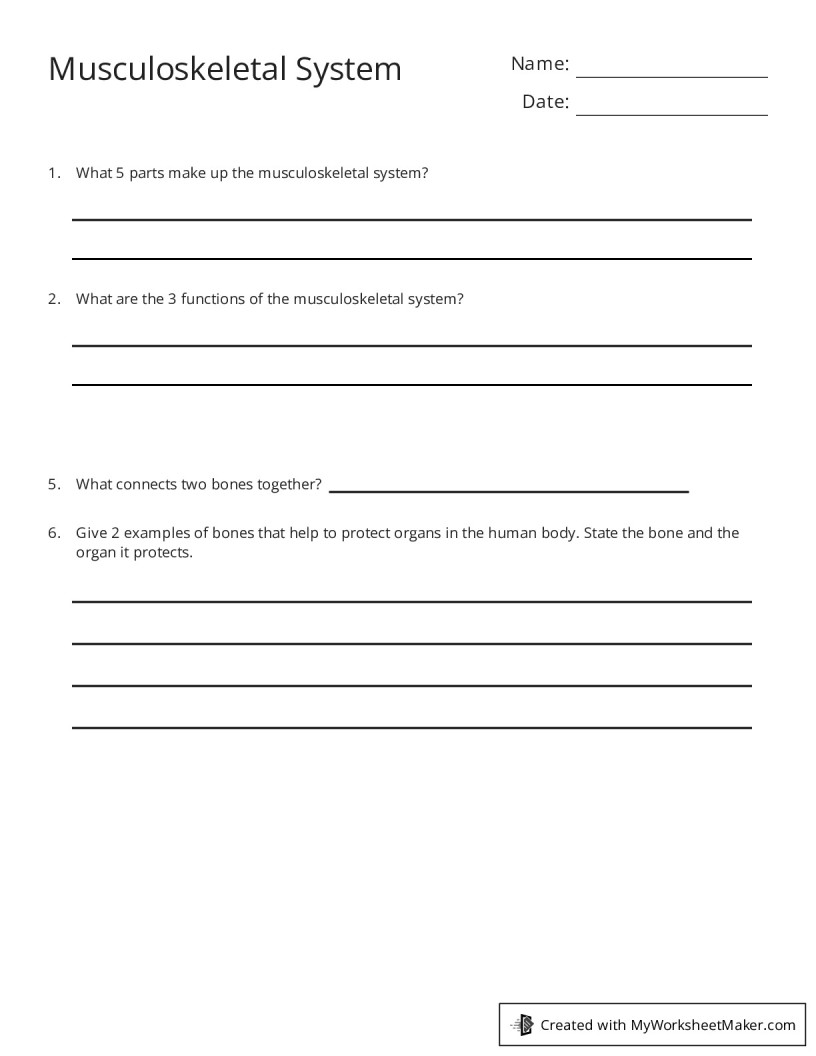 Musculoskeletal System - My Worksheet Maker: Create Your Own Worksheets