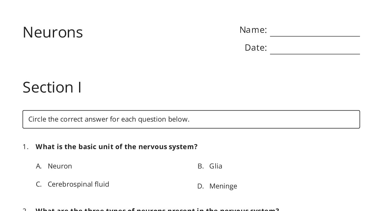 Neurons - My Worksheet Maker: Create Your Own Worksheets