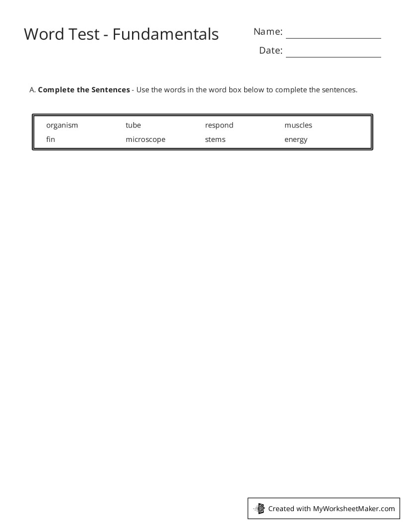 Word Test - Fundamentals - My Worksheet Maker: Create Your Own Worksheets