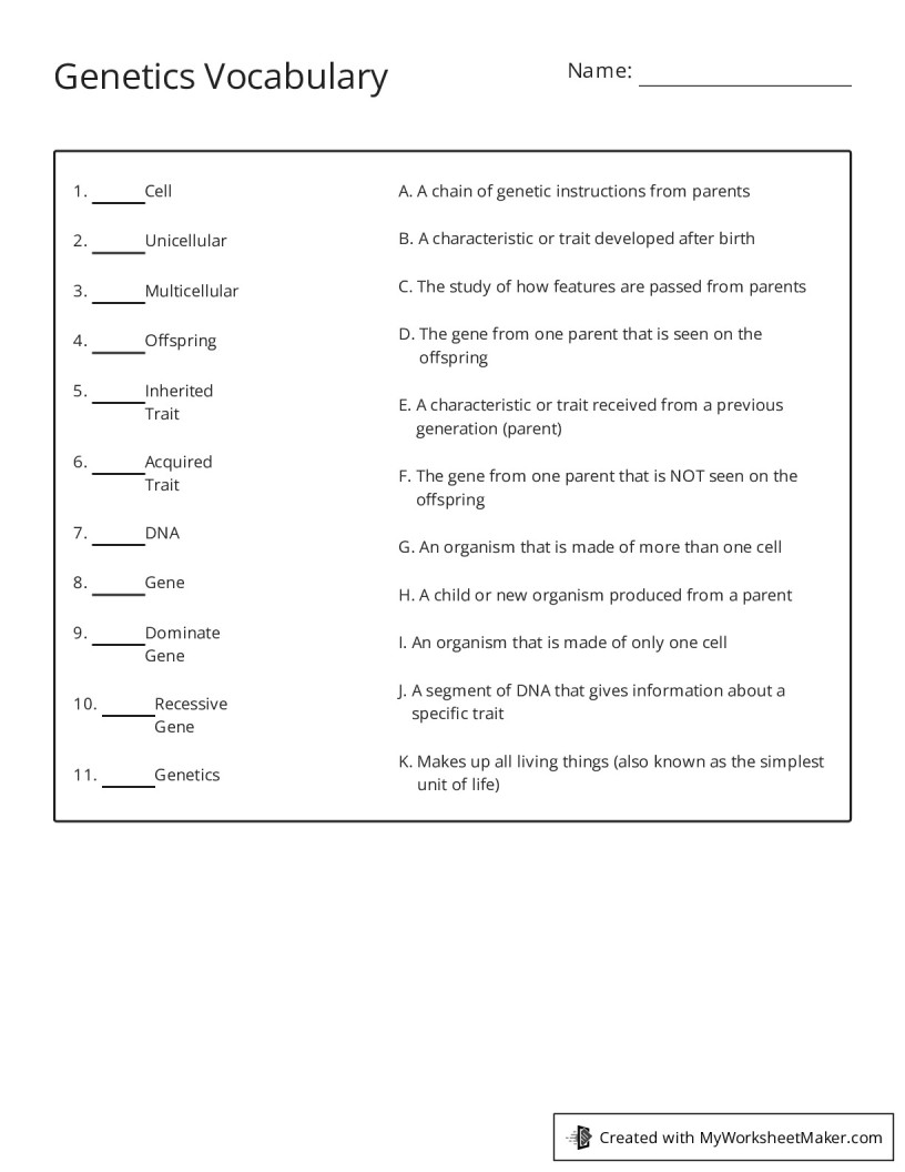 Genetics Vocabulary - My Worksheet Maker: Create Your Own Worksheets