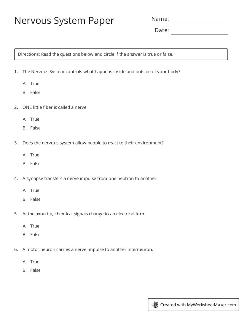 Nervous System Paper - My Worksheet Maker: Create Your Own Worksheets