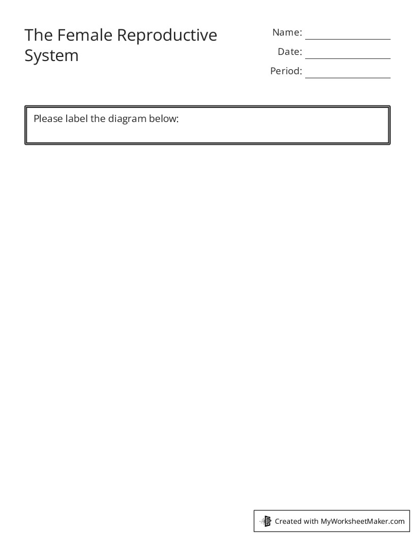 The Female Reproductive System - My Worksheet Maker: Create Your Own ...