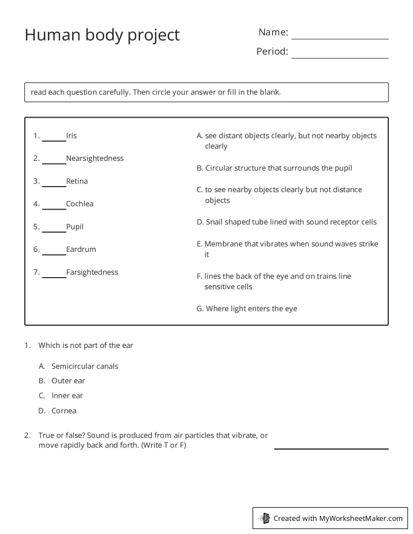 Human body project - My Worksheet Maker: Create Your Own Worksheets