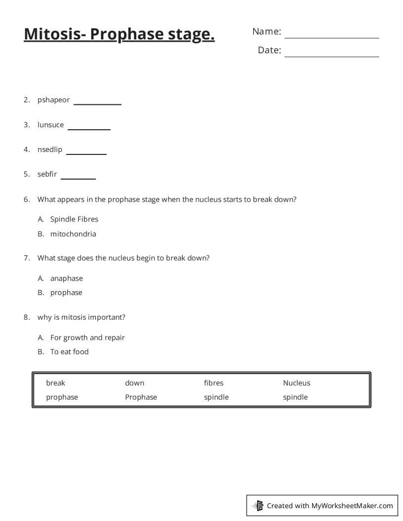 Mitosis- Prophase stage. - My Worksheet Maker: Create Your Own Worksheets