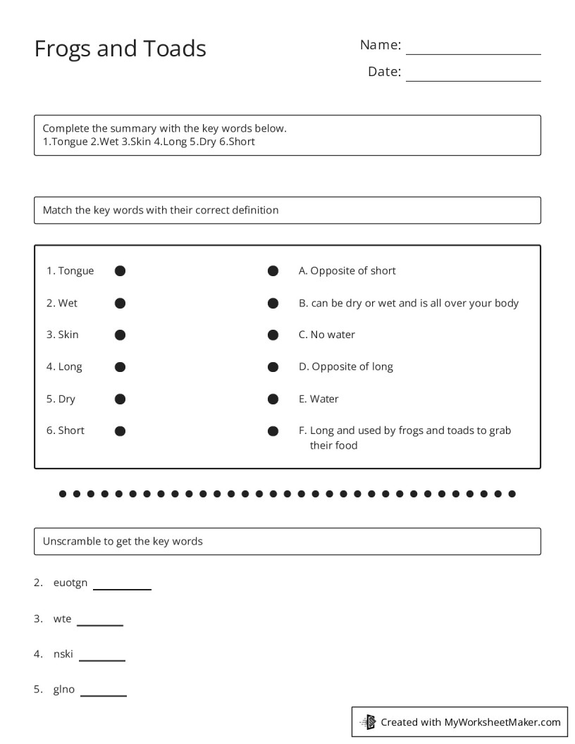 Frogs and Toads - My Worksheet Maker: Create Your Own Worksheets