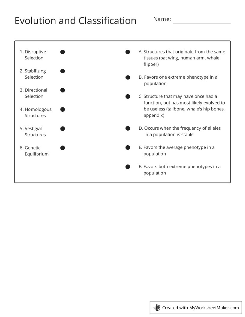 Evolution and Classification - My Worksheet Maker: Create Your Own ...