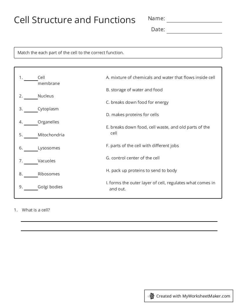 Cell Structure and Functions - My Worksheet Maker: Create Your Own ...