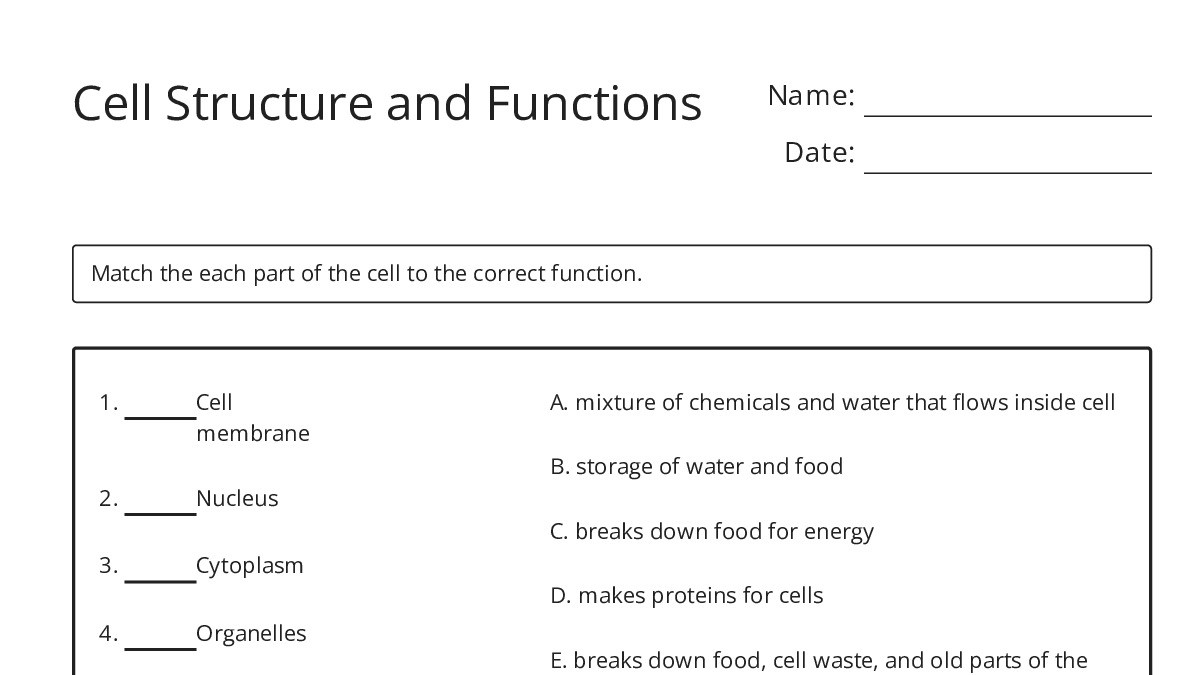Cell Structure and Functions - My Worksheet Maker: Create Your Own ...