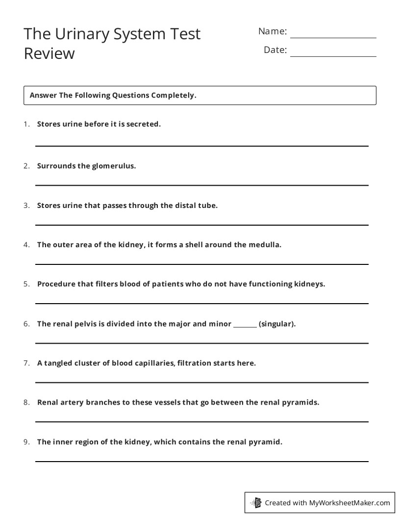 The Urinary System Test Review - My Worksheet Maker: Create Your Own ...