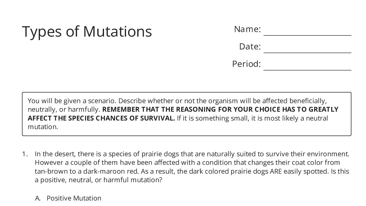 Types of Mutations - My Worksheet Maker: Create Your Own Worksheets