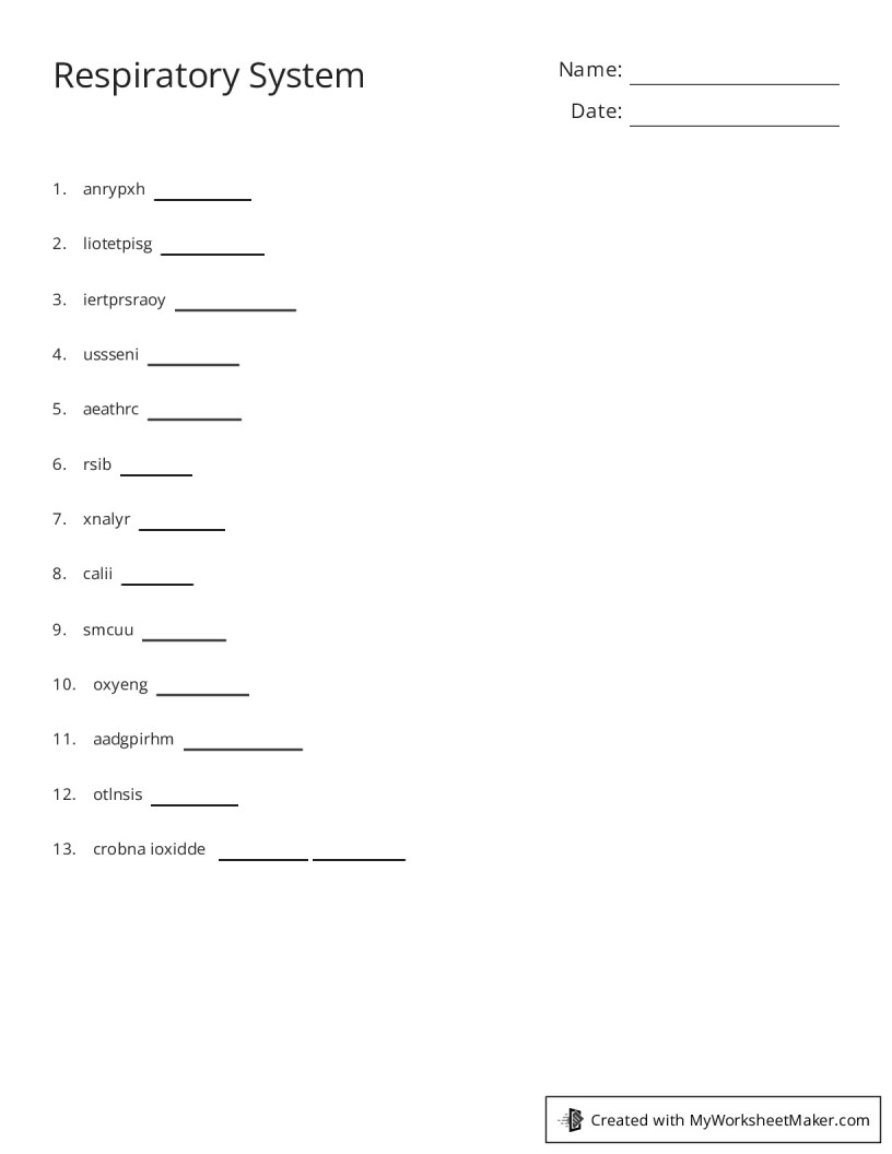 Respiratory System - My Worksheet Maker: Create Your Own Worksheets