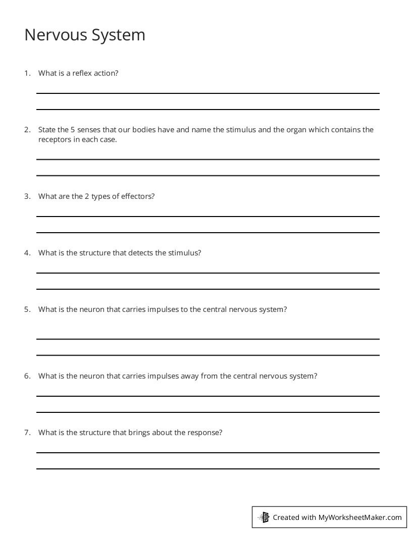 Nervous System - My Worksheet Maker: Create Your Own Worksheets