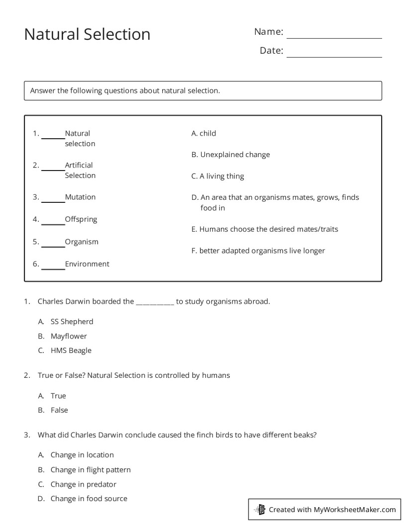 Natural Selection - My Worksheet Maker: Create Your Own Worksheets