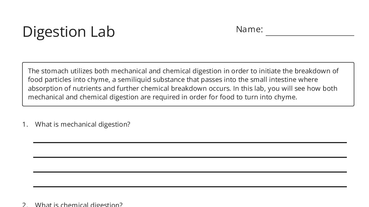 Digestion Lab - My Worksheet Maker: Create Your Own Worksheets