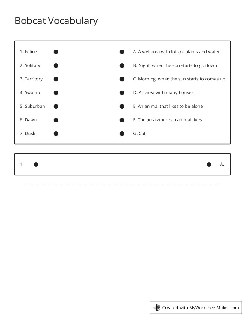 Bobcat Vocabulary - My Worksheet Maker: Create Your Own Worksheets