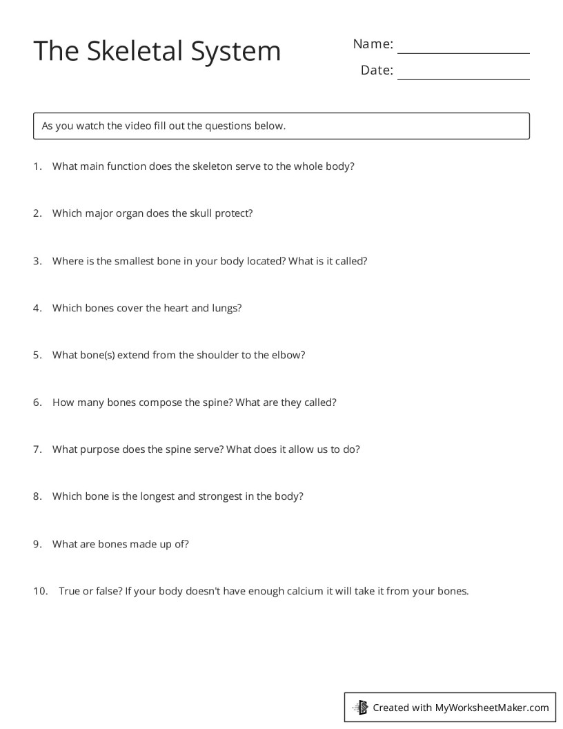 The Skeletal System - My Worksheet Maker: Create Your Own Worksheets