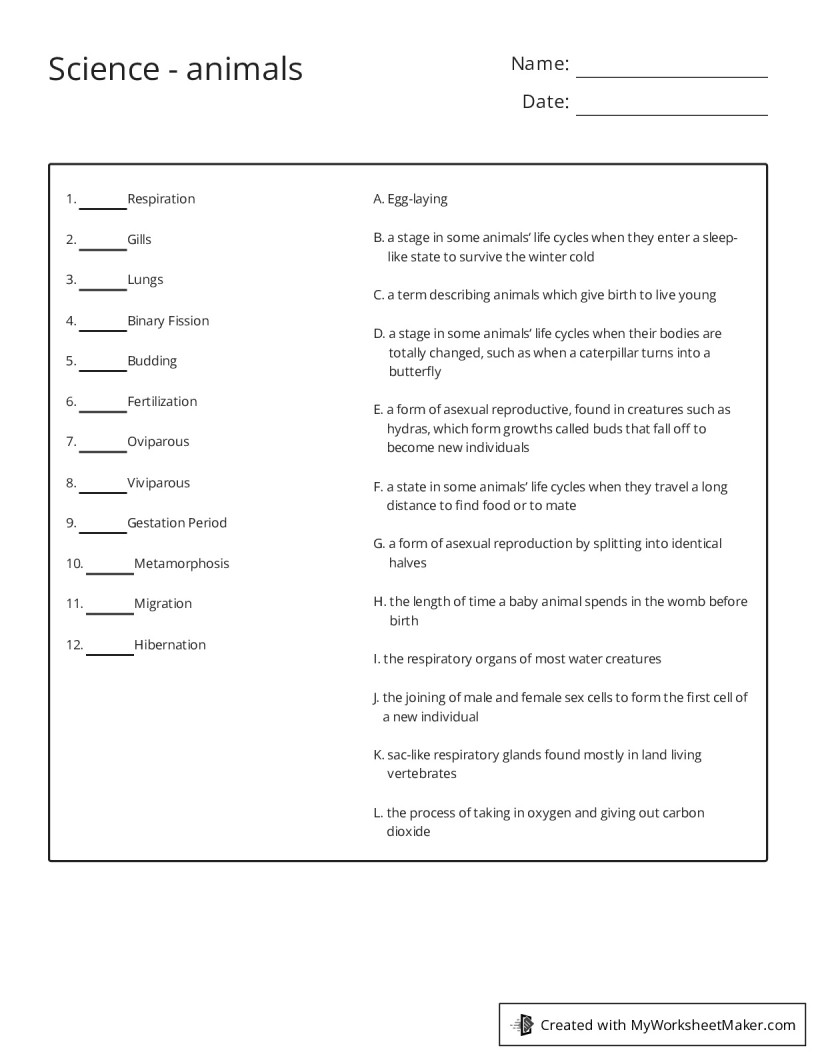Science - animals - My Worksheet Maker: Create Your Own Worksheets