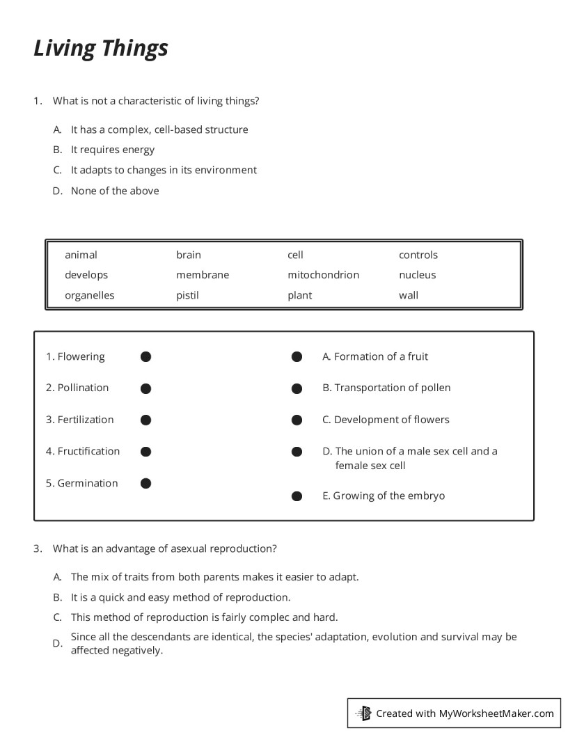 Living Things﻿﻿ - My Worksheet Maker: Create Your Own Worksheets