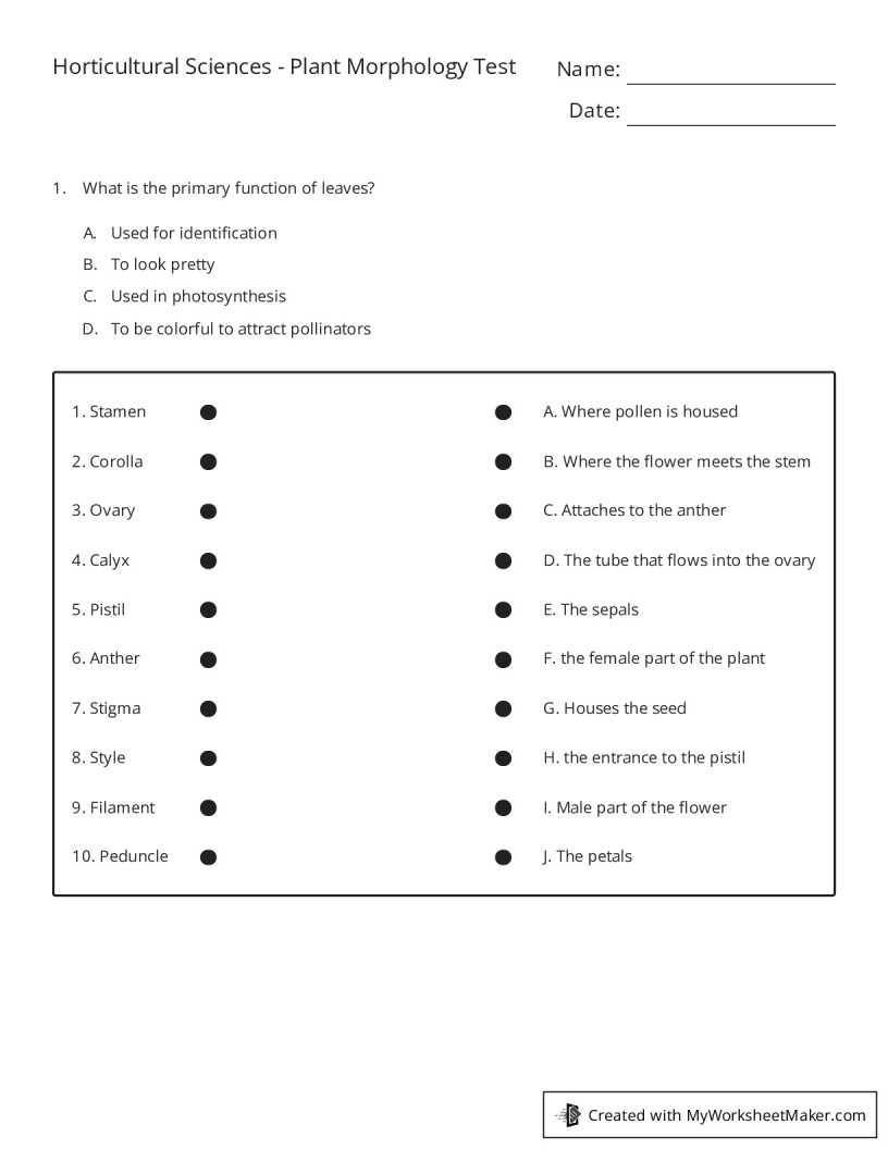 Horticultural Sciences - Plant Morphology Test - My Worksheet Maker ...