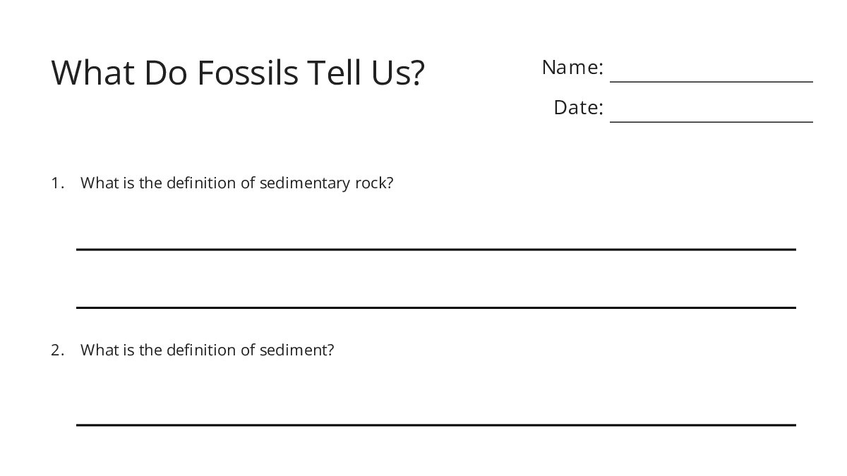 What Do Fossils Tell Us? - My Worksheet Maker: Create Your Own Worksheets