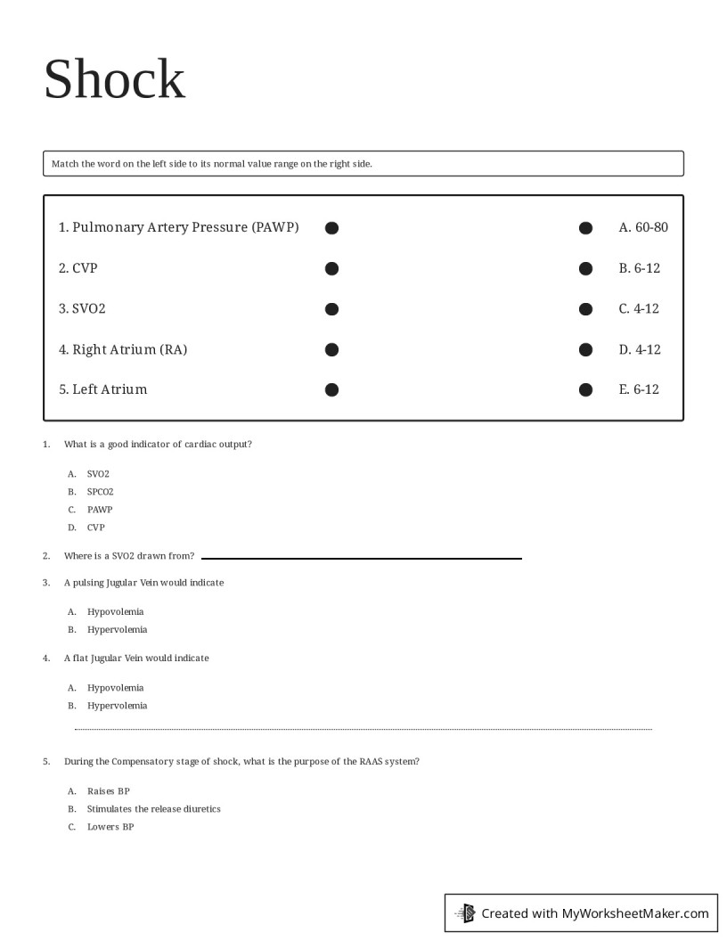 Shock - My Worksheet Maker: Create Your Own Worksheets