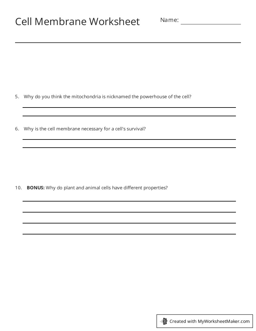 Cell Membrane Worksheet - My Worksheet Maker: Create Your Own Worksheets