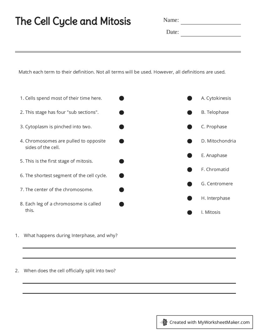 The Cell Cycle and Mitosis﻿ - My Worksheet Maker: Create Your Own ...