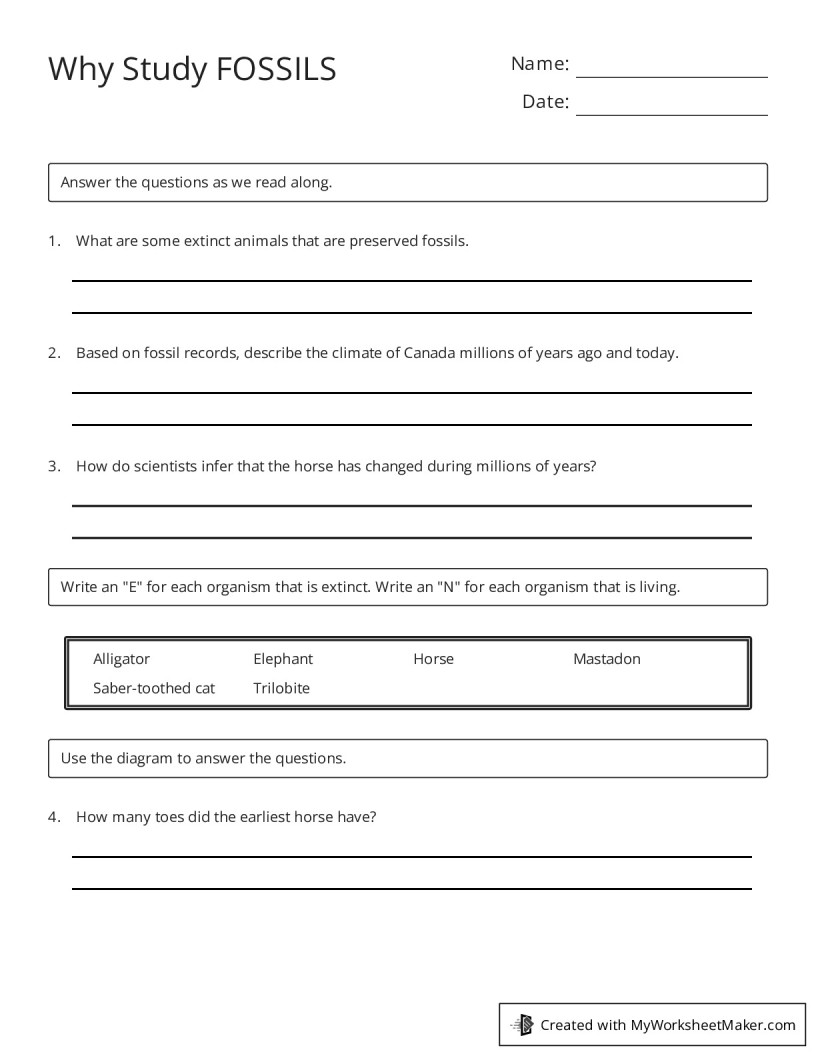 Why Study FOSSILS - My Worksheet Maker: Create Your Own Worksheets