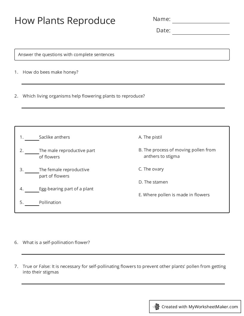 How Plants Reproduce - My Worksheet Maker: Create Your Own Worksheets