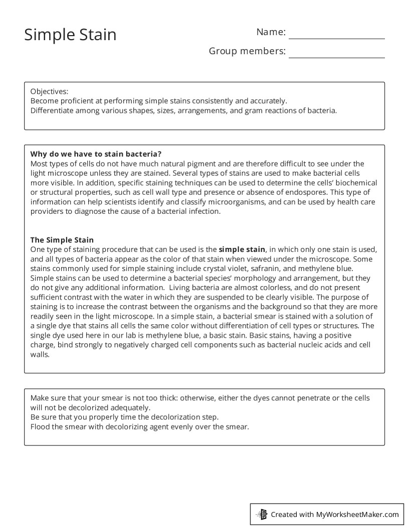 Simple Stain - My Worksheet Maker: Create Your Own Worksheets