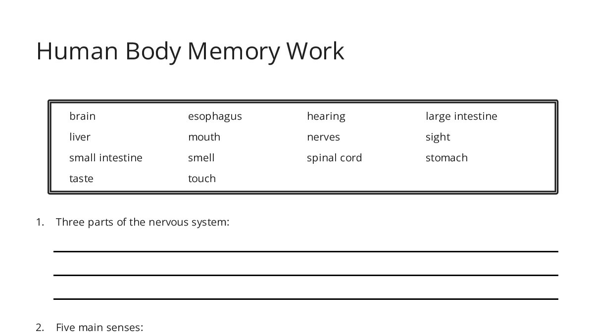Human Body Memory Work - My Worksheet Maker: Create Your Own Worksheets