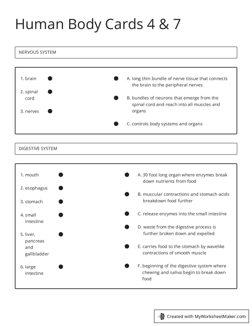 Human Body Cards 4 & 7 - My Worksheet Maker: Create Your Own Worksheets
