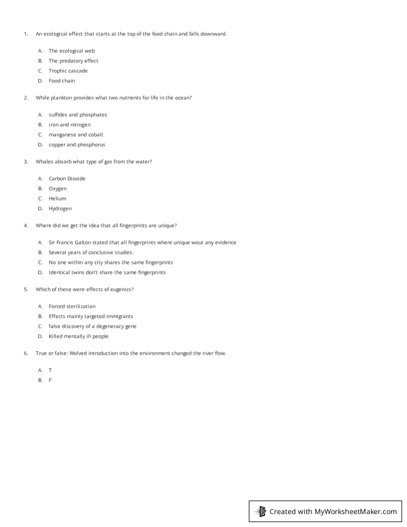 My Worksheet Title - My Worksheet Maker: Create Your Own Worksheets