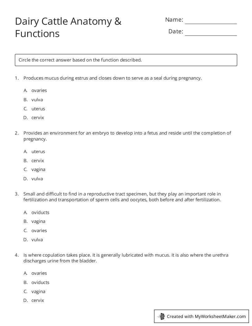 Dairy Cattle Anatomy & Functions - My Worksheet Maker: Create Your Own ...