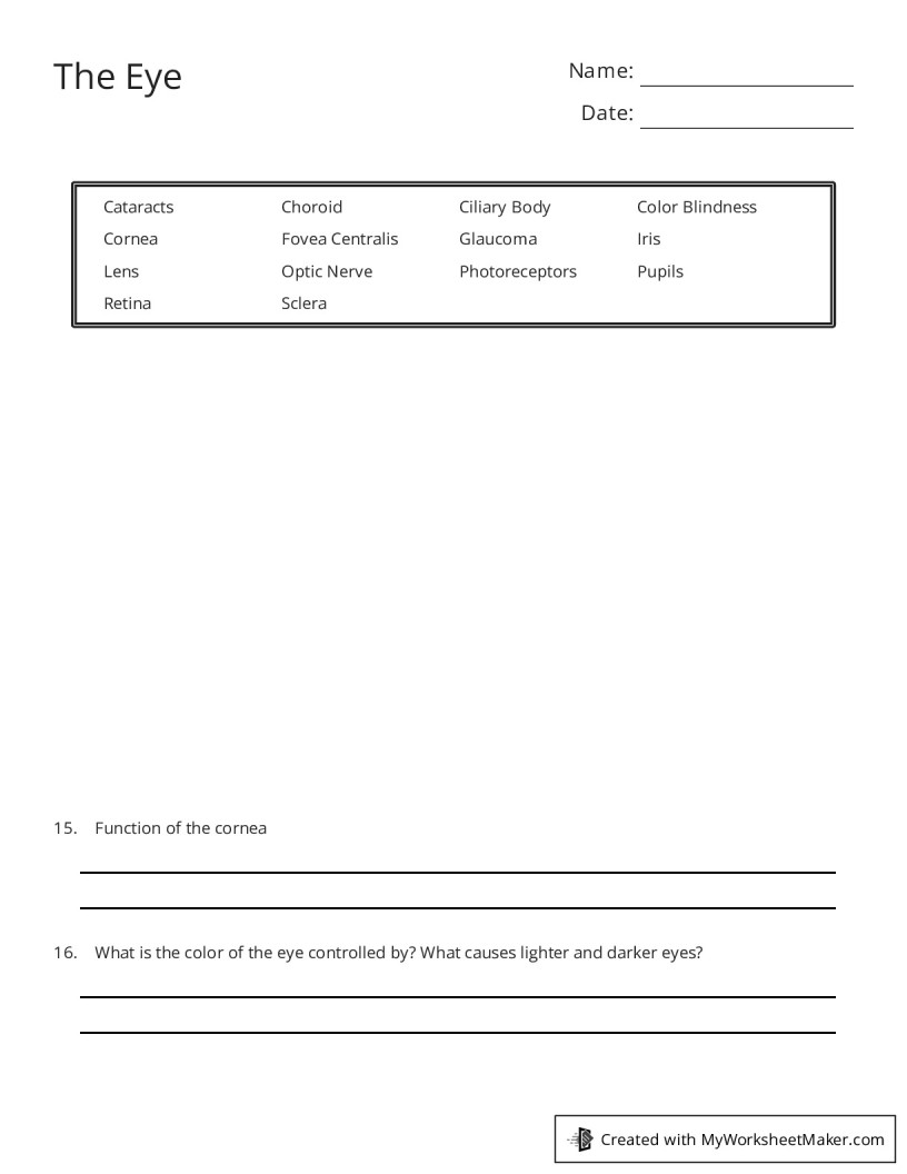 The Eye - My Worksheet Maker: Create Your Own Worksheets